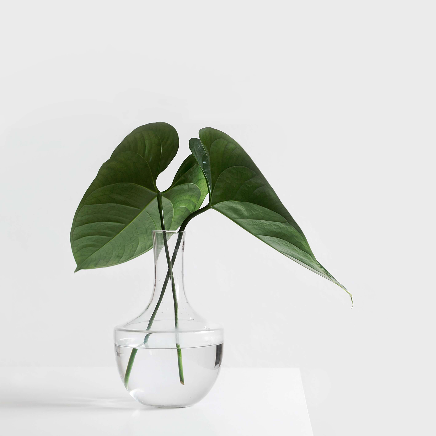 House hitman – MasonryWorx